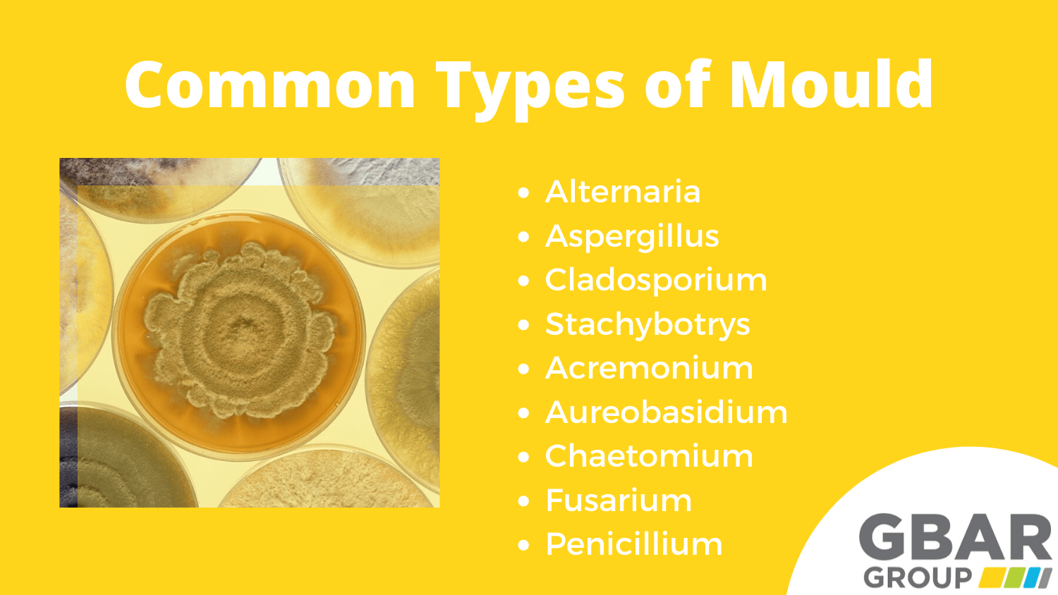 Factors Impacting the Cost of Mould Removal in Australia