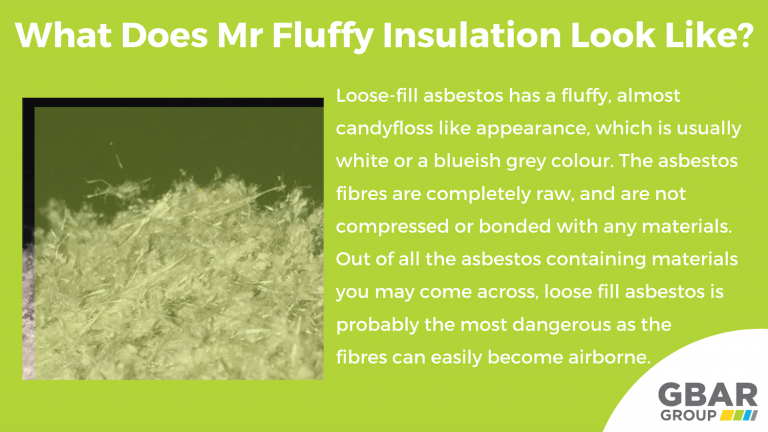Mr Fluffy Asbestos | Everything You Need to Know