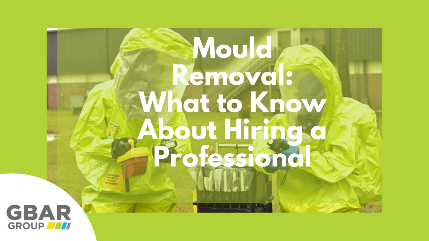 Mould Removal - What to Know About Hiring a Professional